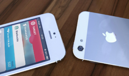 iPhone Colors Through Time: A History of All the Colors variant in a ...