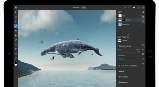 Inihayag ng Adobe kung anong mga bagong feature ang makikita natin sa ...
