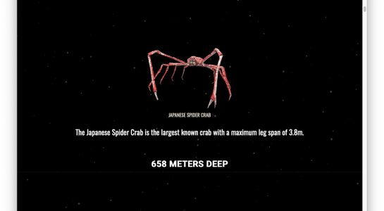 Neal.fun: Prozkoumejte na mobilu či PC hloubku moří, vesmír a další ...