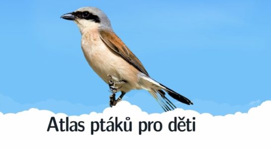 Atlas hub, rostlin, ptáků a zvířat ve vašem iPhonu – Letem světem Applem