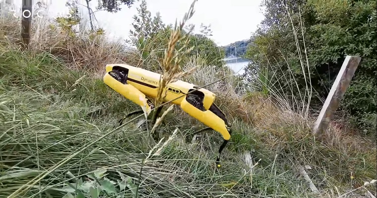 This robot dog can herd sheep - LSA Magazine