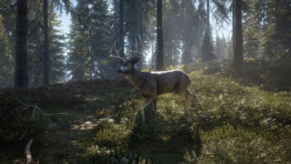 theHunter: Call of the Wild™ is now free to download - Letem svetem Applem