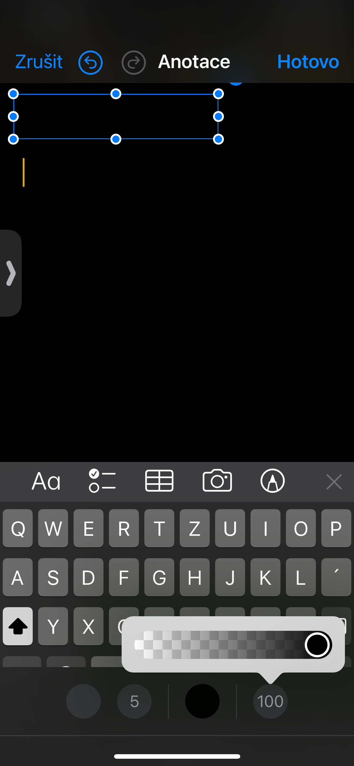 Jak na fotkách na iPhonu skrýt citlivé údaje – LSA Magazine