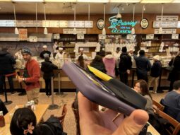 Rhode Snap-On lip case review: the perfect solution for those who don't ...